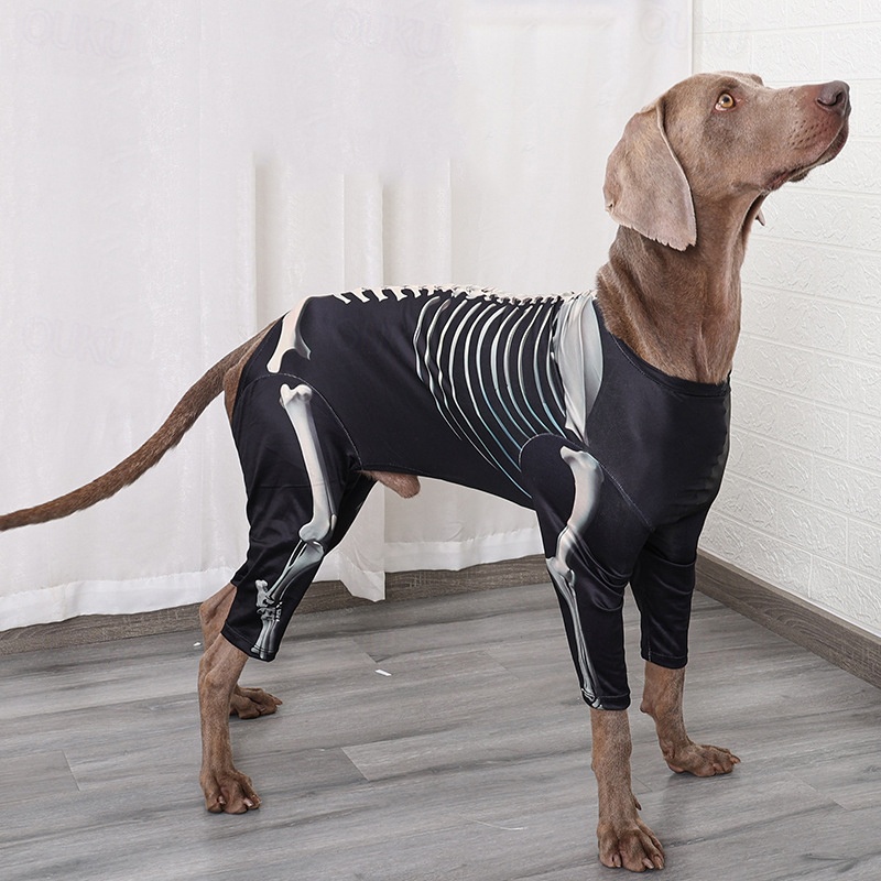 Skelet Hond Kostuum Hond Spier Skelet Anatomie Poster Muur Grafiek