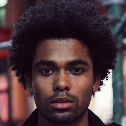Afro Wig Men for Black Men Afro Black Hair Wig 70 s 80 s Disco Rocker Costume Wigs 2025 US 21.99
